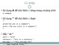 Giгўo Trг Nh Python Tiбєїng Viб T Full Pdf вђ Tб Hб ќc Python Tб A дђбєїn Z