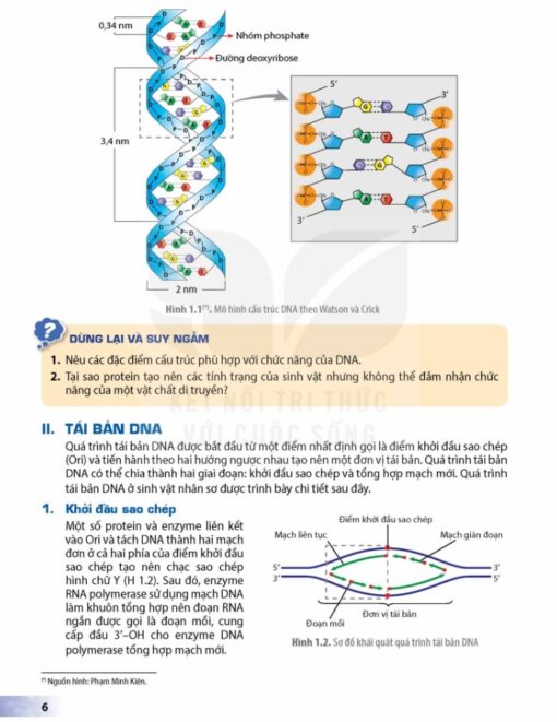 Sách Giáo Khoa Sinh Học 12 Kết Nối Tri Thức PDF